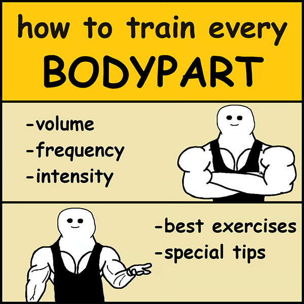 FREE BODY PARTS GUIDE – Bodybuilding Simplified